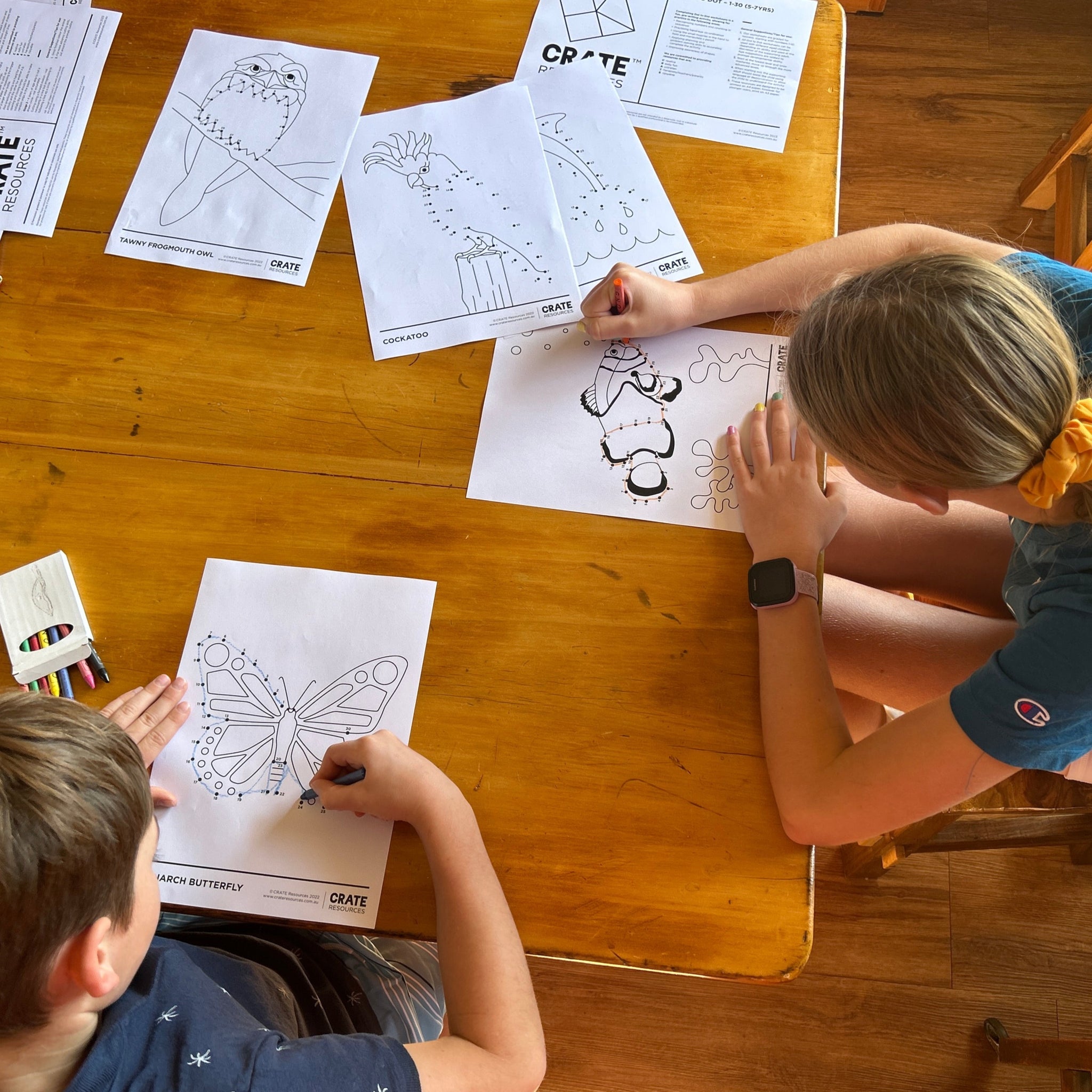 Dot to Dot Australian animals for children – Crate Resources